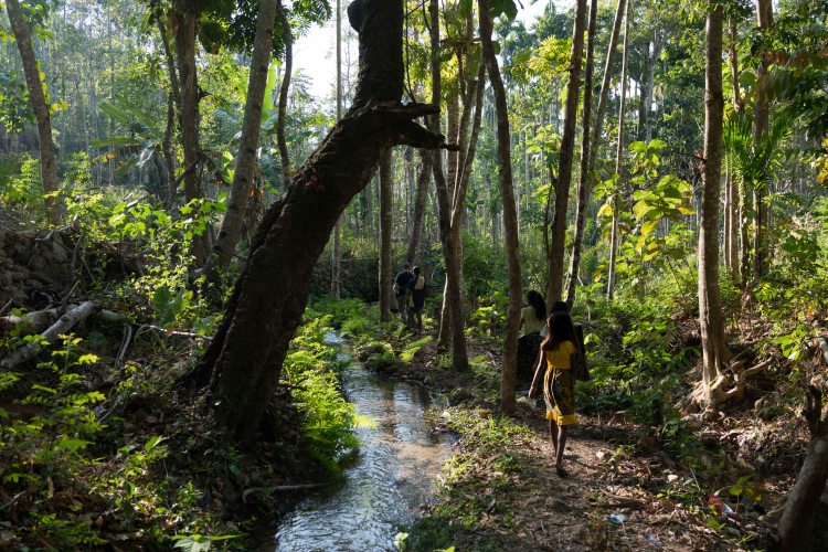 Balibo Trails – More than a tour company, Balibo Trails pioneers and ...